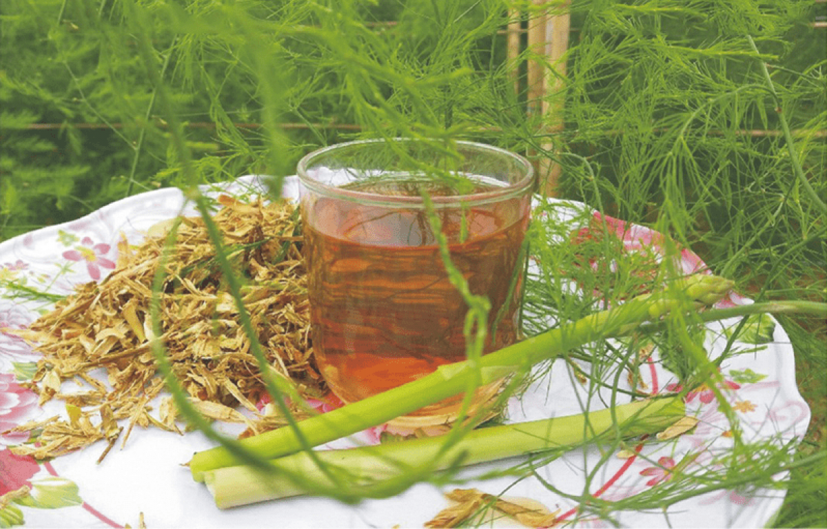 PAGLAONG YAOM PANDAP OCOP, DALIKAN MENG PHUN MANG TAY XANH | VOV4.VOV.VN