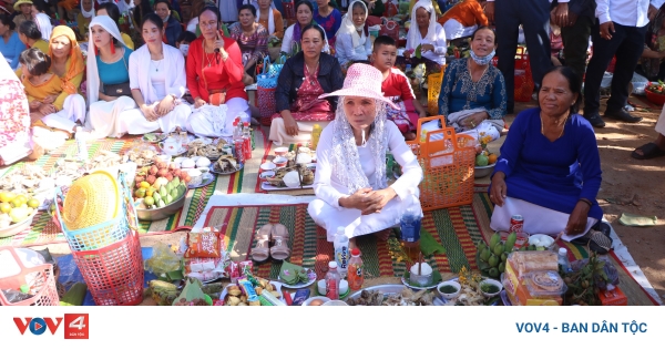 Xuân về trên Tháp cổ | VOV4.VOV.VN